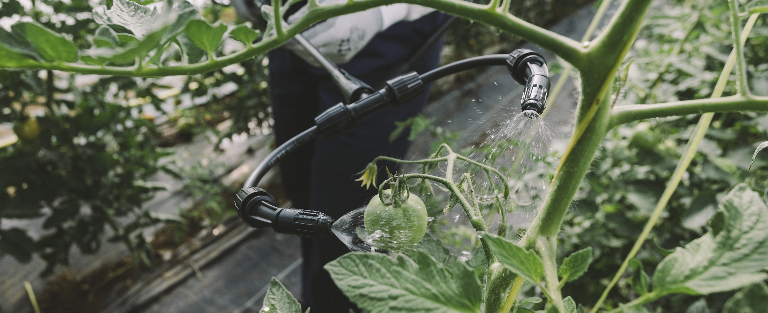 Home [www.matabi.com]