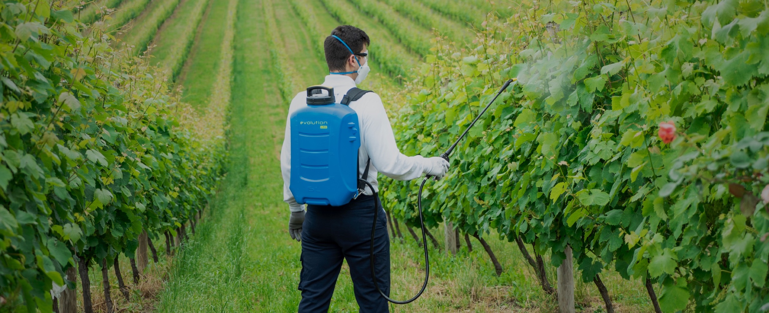 Pulverizadores matabi. Soluciones de pulverización para el cuidado de ...