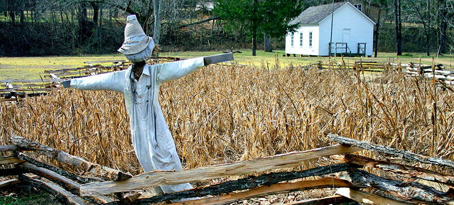 How To Make Scarecrows